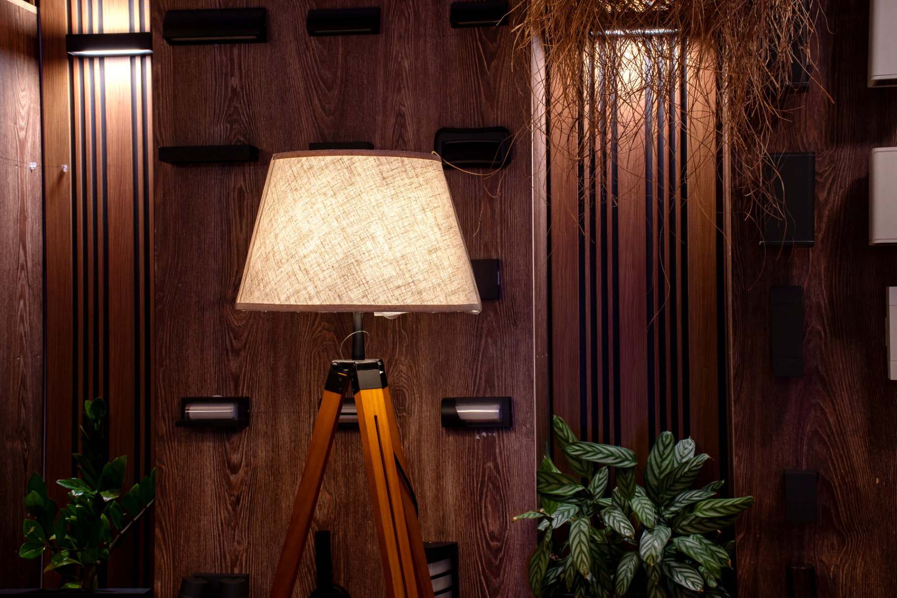 Megalite Mauritius - Premium LED Lighting, Custom Handmade Lamps ...